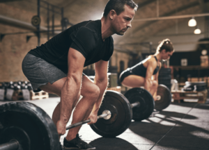 Arnold Split vs PPL - What's The Best for Your Goals? | Fitness Drum